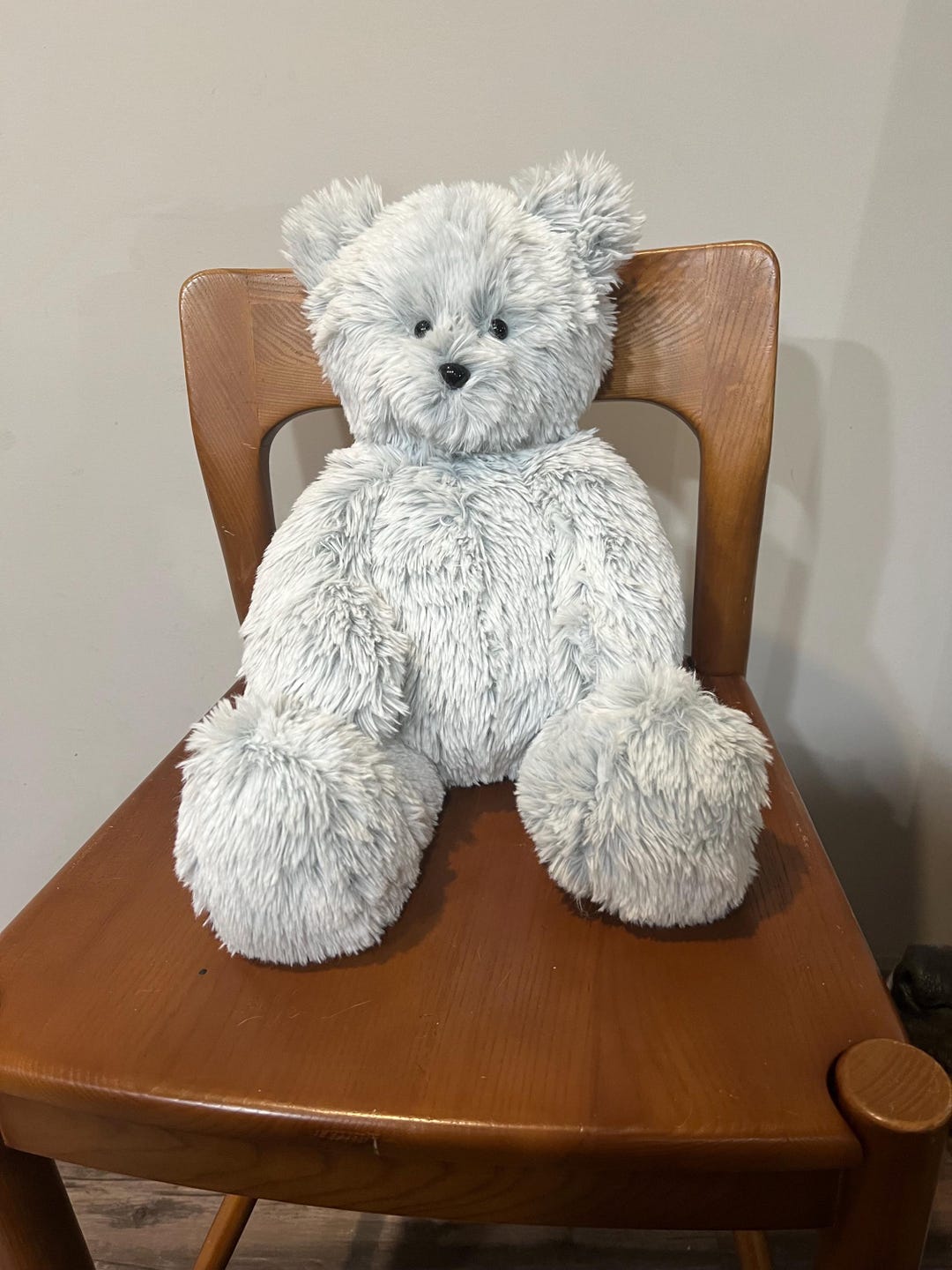 Copernicus the Fuzz Bear - Etsy