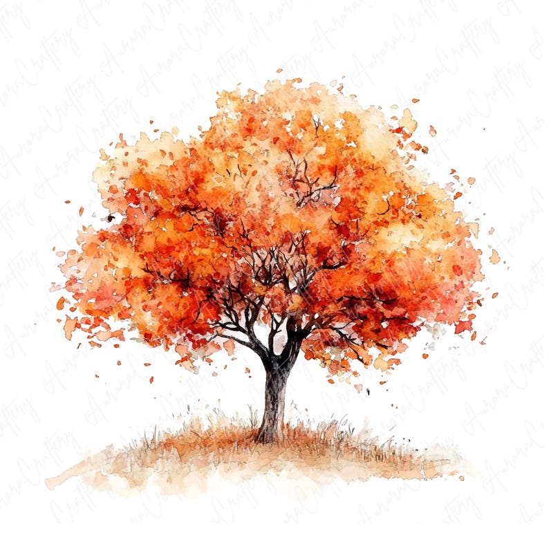 7 Watercolor Fall Tree Clipart, Autumn Foliage, Autumn Clipart, Fall ...