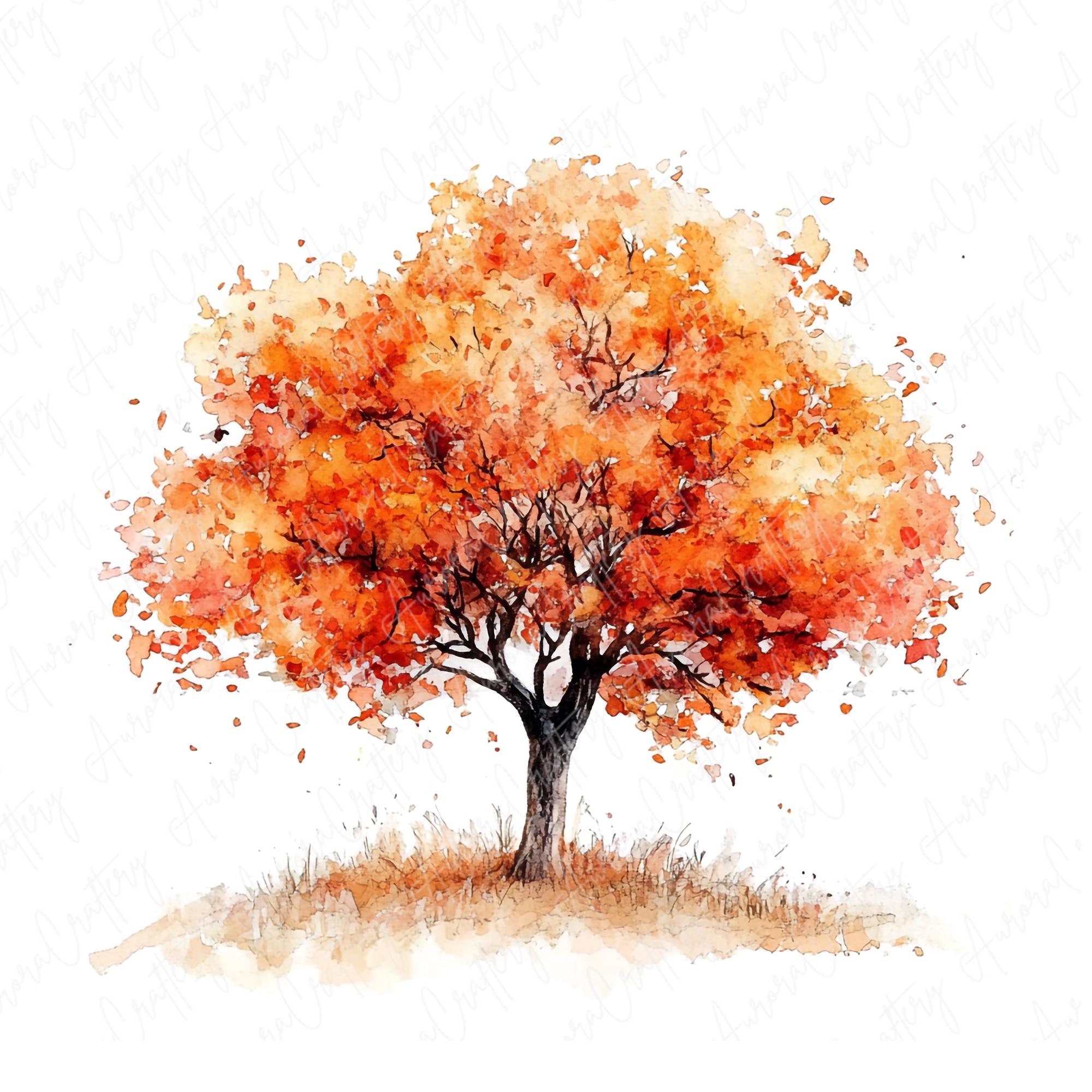 7 Watercolor Fall Tree Clipart, Autumn Foliage, Autumn Clipart, Fall ...