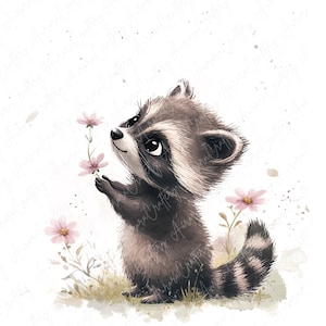 12 Watercolor Raccoon Clipart, Woodland Raccoon, Cute Forest Animal ...