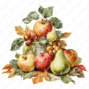 8 Watercolor Pear and Apple Clipart, Autumn Fruit Illustrations With ...