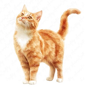 14 Watercolor Ginger Cat Clipart, Playful Orange Tabby Cats, Cute Cat ...