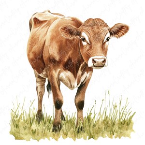 14 Cow Farm Clipart, Watercolor Cows, Watercolor Farm Animals Clipart ...