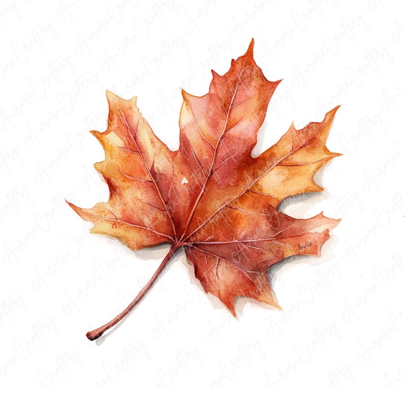 Watercolor Fall Leaves Clipart, Autumn Maple Leaves for Crafts, Autumn ...