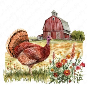 18 Turkey Farm Clipart, Watercolor Turkey Clipart Farm Animal Clipart ...