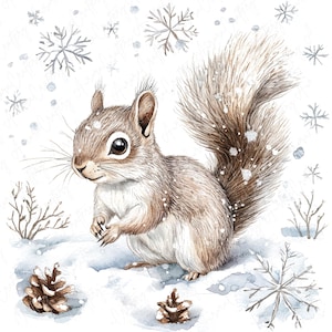 9 Watercolor Winter Squirrel Clipart, Cute Woodland Animal Clipart ...