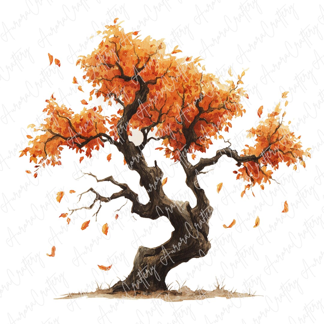 7 Watercolor Autumn Tree Clipart, Fall Foliage Illustrations for Crafts ...