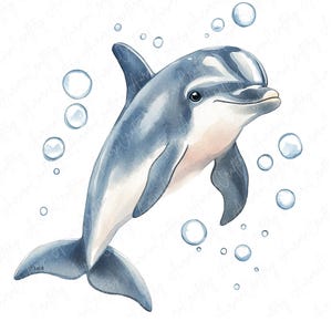 9 Watercolor Dolphin Clipart, Ocean Clipart, Cute Dolphin Clipart ...