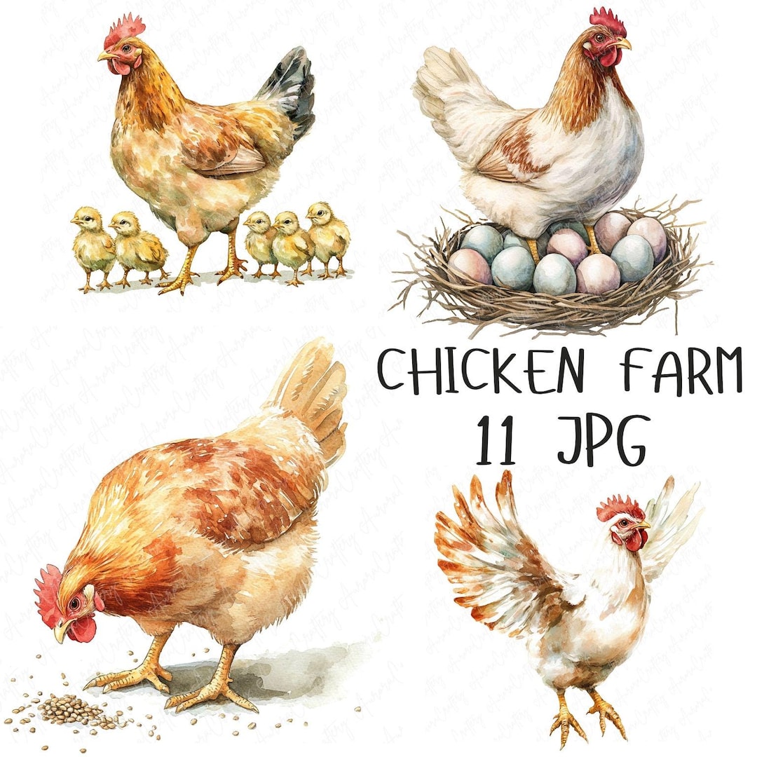11 Chicken Farm Clipart, Watercolor Chickens Eggs, Watercolor Chicken ...