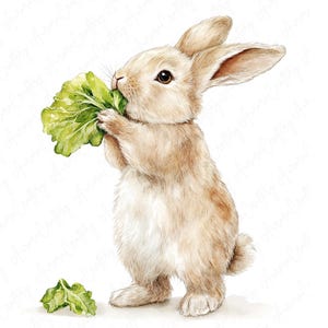 10 Watercolor Rabbit Eating Clipart, Cute Bunny Eating Carrot and ...