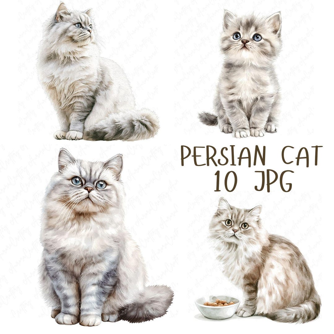 10 Watercolor Persian Cat Clipart, Fluffy Long-haired Cats, Cute Cat ...