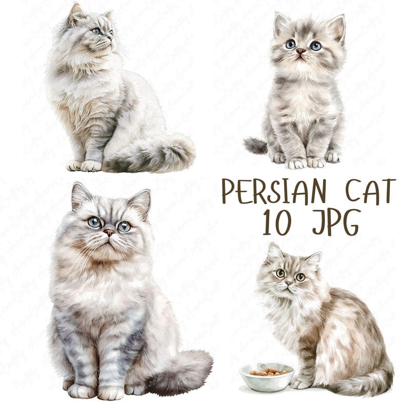 Persian Cat Clipart - Etsy