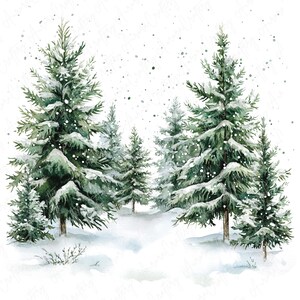 8 Watercolor Winter Tree Clipart, Snowy Forest Landscape Clipart ...