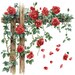 13 Watercolor Rose Fence Clipart, Romantic Valentine's Love Fences With ...