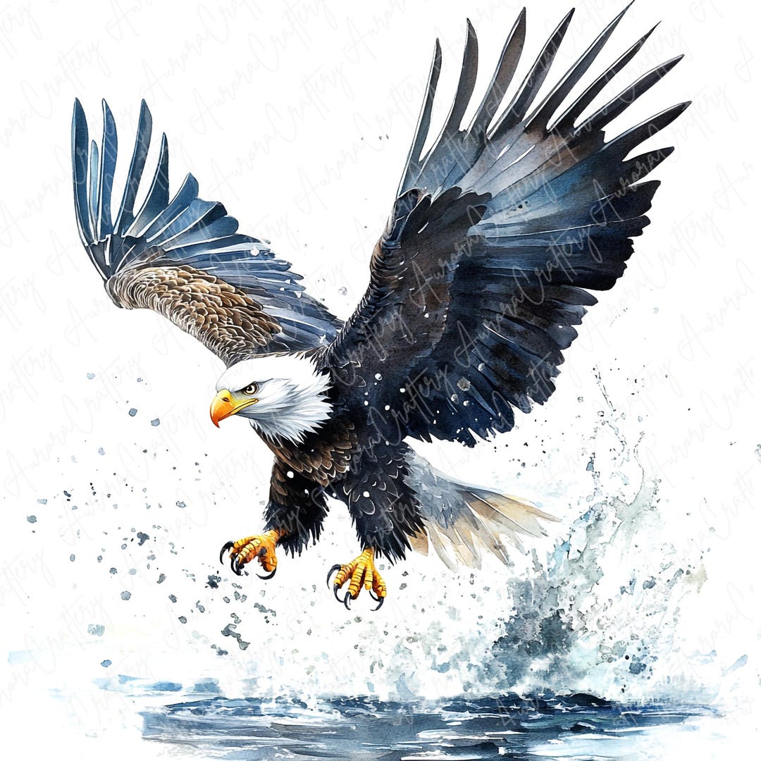 4 Watercolor Eagle Clipart, Soaring Bald Eagle Over Water, Wildlife ...