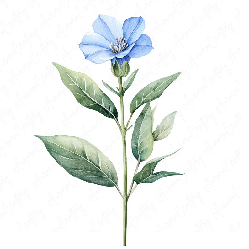 8 Watercolor Blue Floral Clipart, Elegant Botanical Flowers, Paper ...