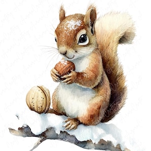 9 Watercolor Winter Squirrel Clipart, Cute Woodland Animal Clipart ...