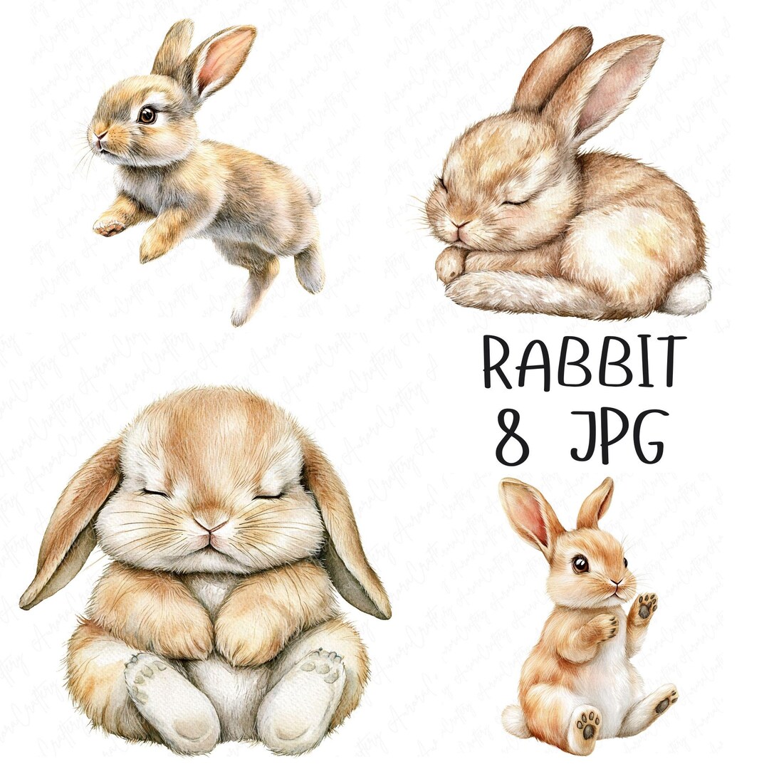 8 Watercolor Rabbit Clipart, Cute Bunny Clipart, Cute Nursery Animal ...