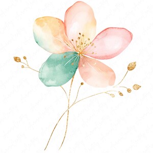 11 Watercolor Coral and Mint Floral Clipart, Flower Clipart, High ...