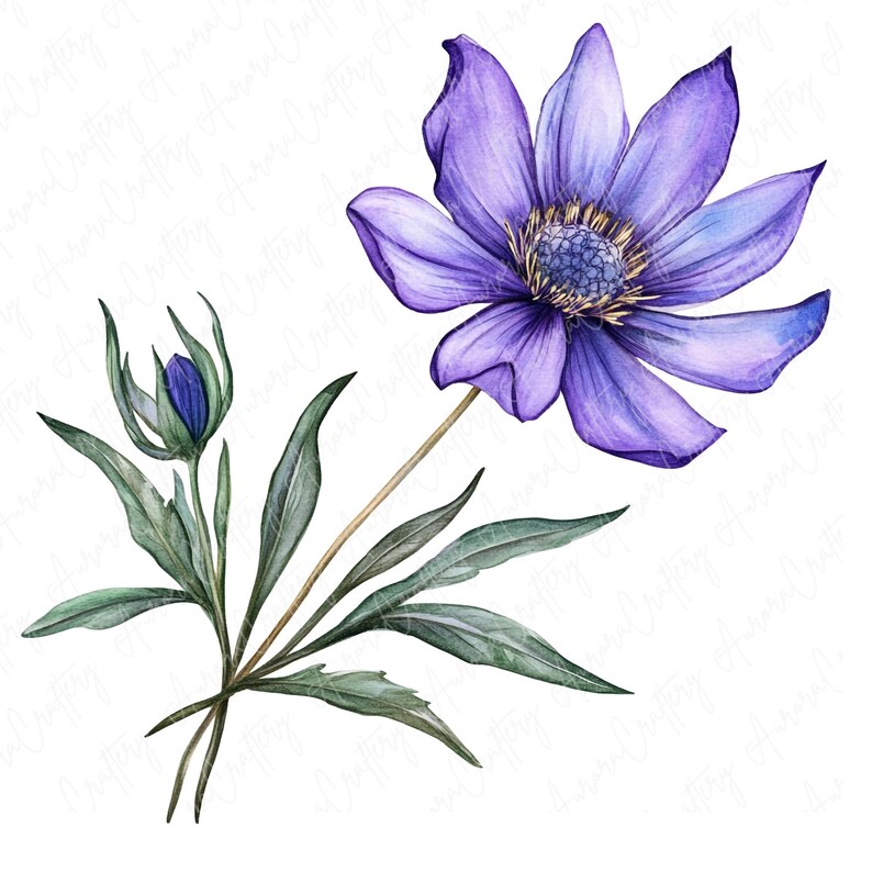 8 Purple Flower Clipart, Lavender and Violet Blossoms Wildflower ...