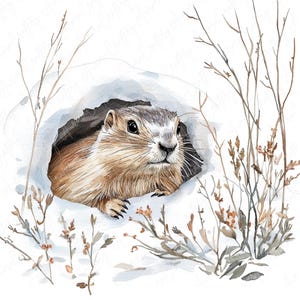 8 Watercolor Festive Groundhog Clipart, Winter Woodland Animal Clipart ...