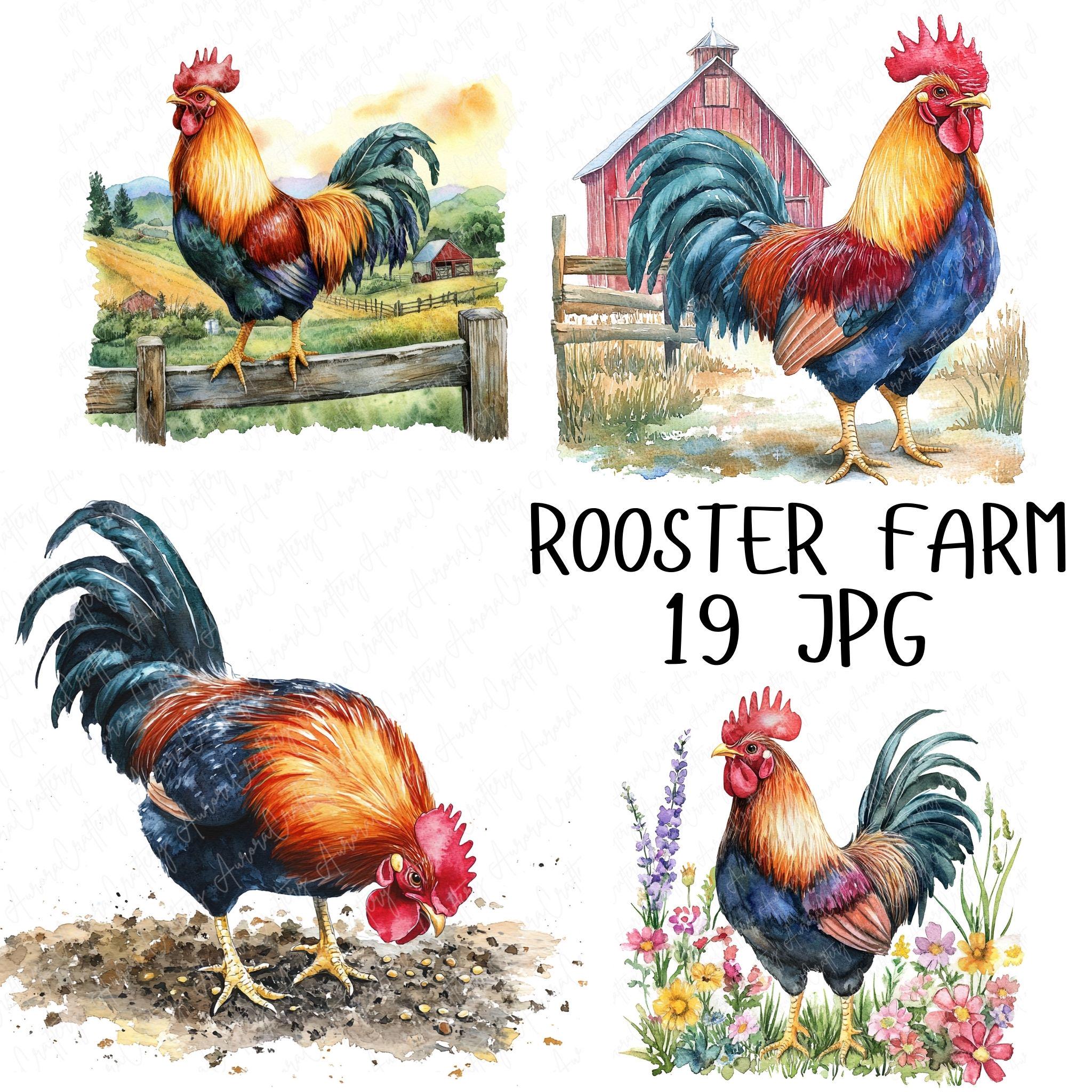 19 Watercolor Rooster Clipart, Farm Rooster, Colorful Rooster, Farm ...