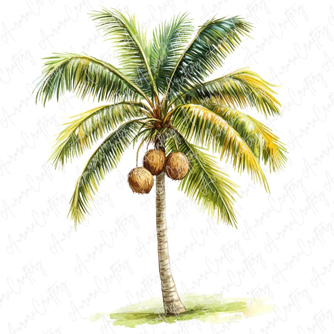 6 Watercolor Palm Tree Clipart Bundle, Tropical Coconut Trees & Summer ...