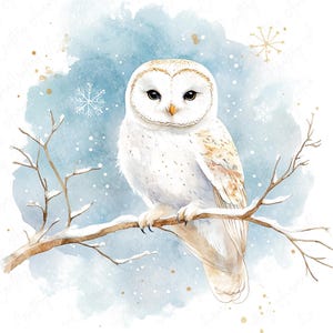 6 Watercolor Winter Owl Clipart, Snowy Woodland Owl, Festive White Owl ...