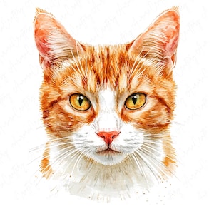 14 Watercolor Ginger Cat Clipart, Playful Orange Tabby Cats, Cute Cat ...