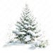 8 Watercolor Snowy Pine Tree Winter Clipart, Winter Pine Tree Clipart ...