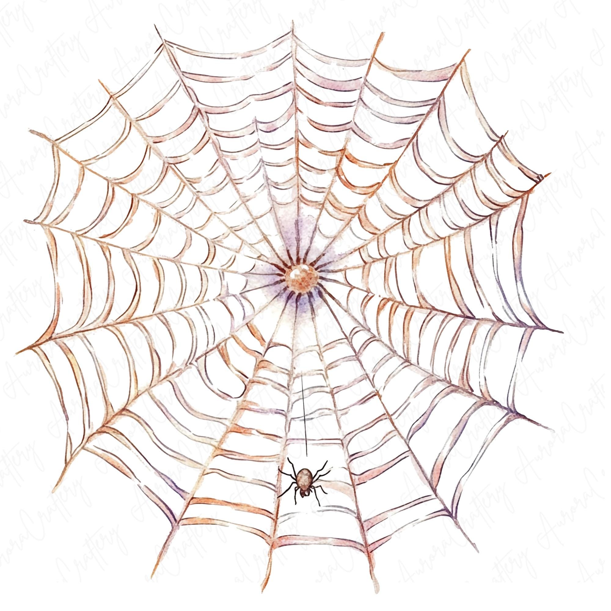 9 Spooky Spider Web Clipart, Spider Clipart, Watercolor Spider Webs ...
