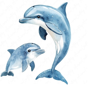 9 Watercolor Dolphin Clipart, Ocean Clipart, Cute Dolphin Clipart ...
