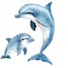 9 Watercolor Dolphin Clipart, Ocean Clipart, Cute Dolphin Clipart ...