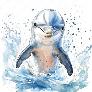 8 Watercolor Dolphin Clipart, Dolphin Sealife Clipart, Playful Dolphin ...