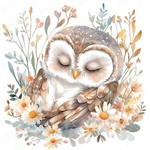 10 Watercolor Owl Clipart, Cute Owl Woodland Clipart, Woodland Owl and ...