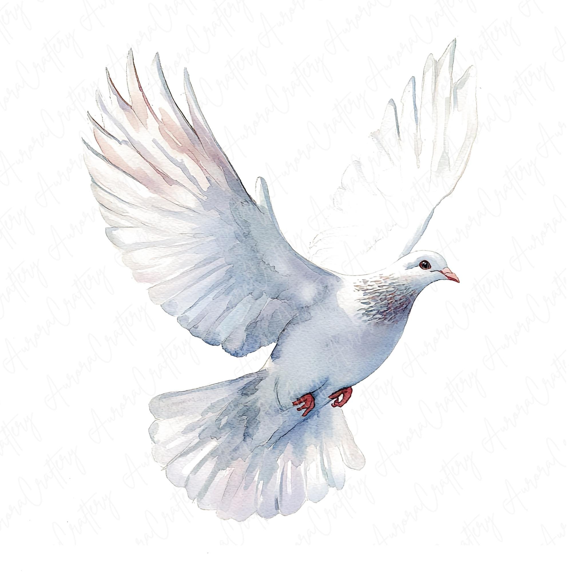 8 Watercolor White Dove Clipart, Peaceful Dove Clipart Memorial Dove ...