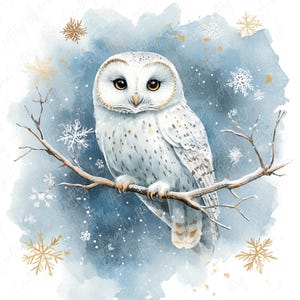 6 Watercolor Winter Owl Clipart, Snowy Woodland Owl, Festive White Owl ...