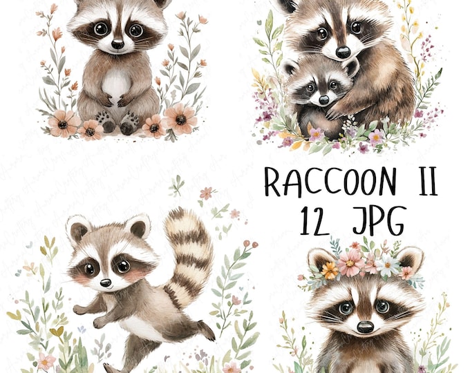 15 PNG Woodland Raccoon Clipart – Nursery Animal Illustration for Baby ...