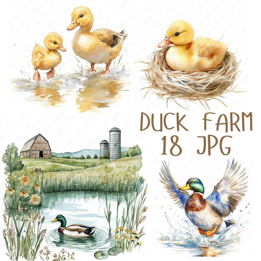 18 Duck Farm Clipart, Watercolor Ducks, Cute Duck Clipart Watercolor ...