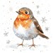 8 Winter Robin Watercolor Clipart, Festive Woodland Bird Clipart ...