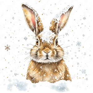 9 Watercolor Winter Bunny Clipart, Snow Rabbit in Winter, Watercolor ...