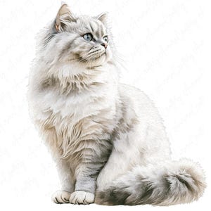 10 Watercolor Persian Cat Clipart, Fluffy Long-haired Cats, Cute Cat ...