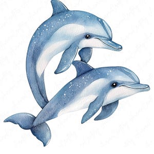 9 Watercolor Dolphin Clipart, Ocean Clipart, Cute Dolphin Clipart ...