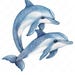 9 Watercolor Dolphin Clipart, Ocean Clipart, Cute Dolphin Clipart ...