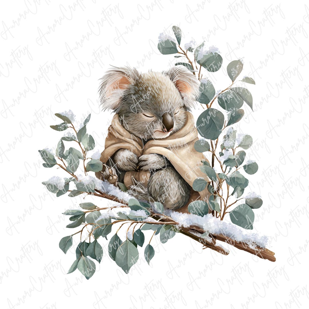 7 Watercolor Koala Clipart , Cute Animal in Blanket on Eucalyptus ...