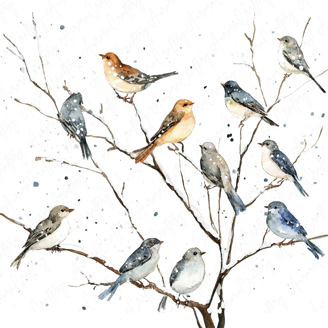 7 Watercolor Winter Birds Clipart, Woodland Bird Clipart, Birds on ...
