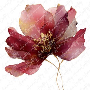 6 Abstract Magenta Flower Clipart, Watercolor Floral Illustrations ...