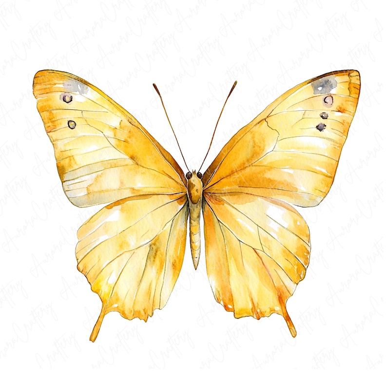 16 Watercolor Yellow Butterfly Clipart, Delicate Butterfly ...