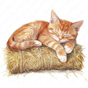 13 Cat Farm Clipart, Watercolor Farm Cats, Watercolor Cat Clipart Cute ...