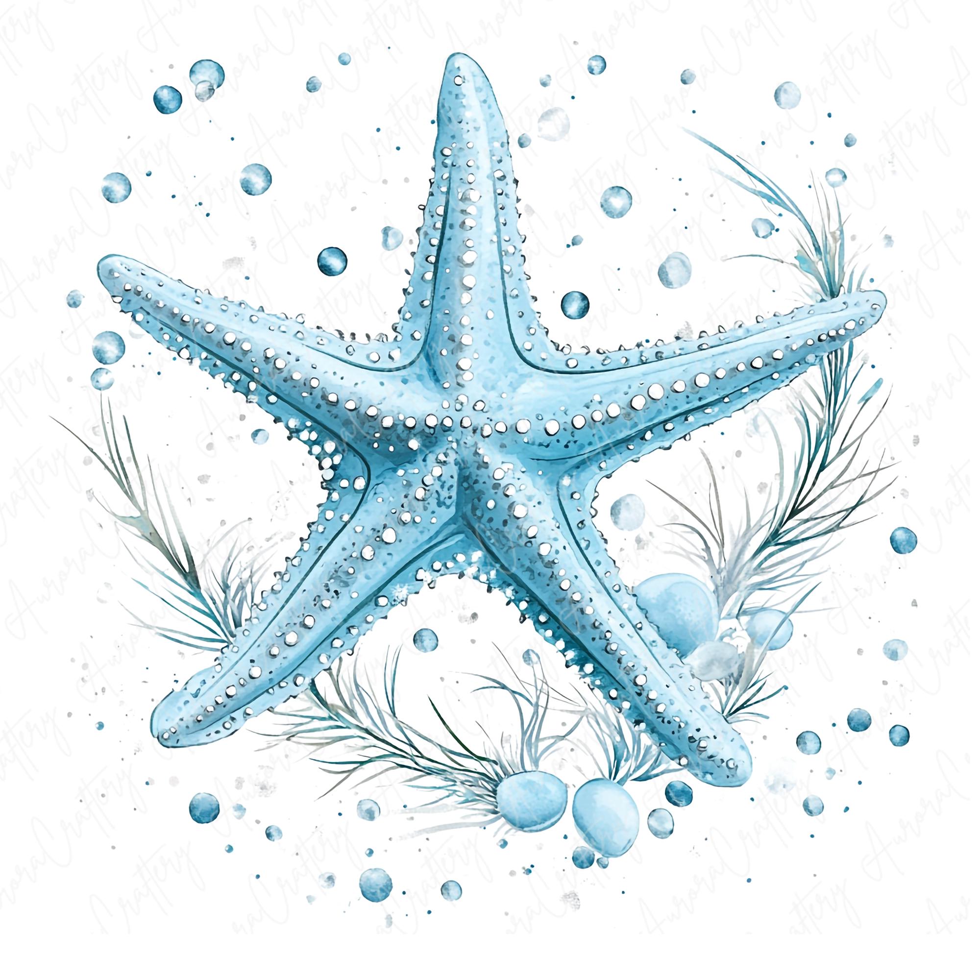 21 Watercolor Sea Creatures Clipart Sealife Clipart Ocean Clipart, Cute ...